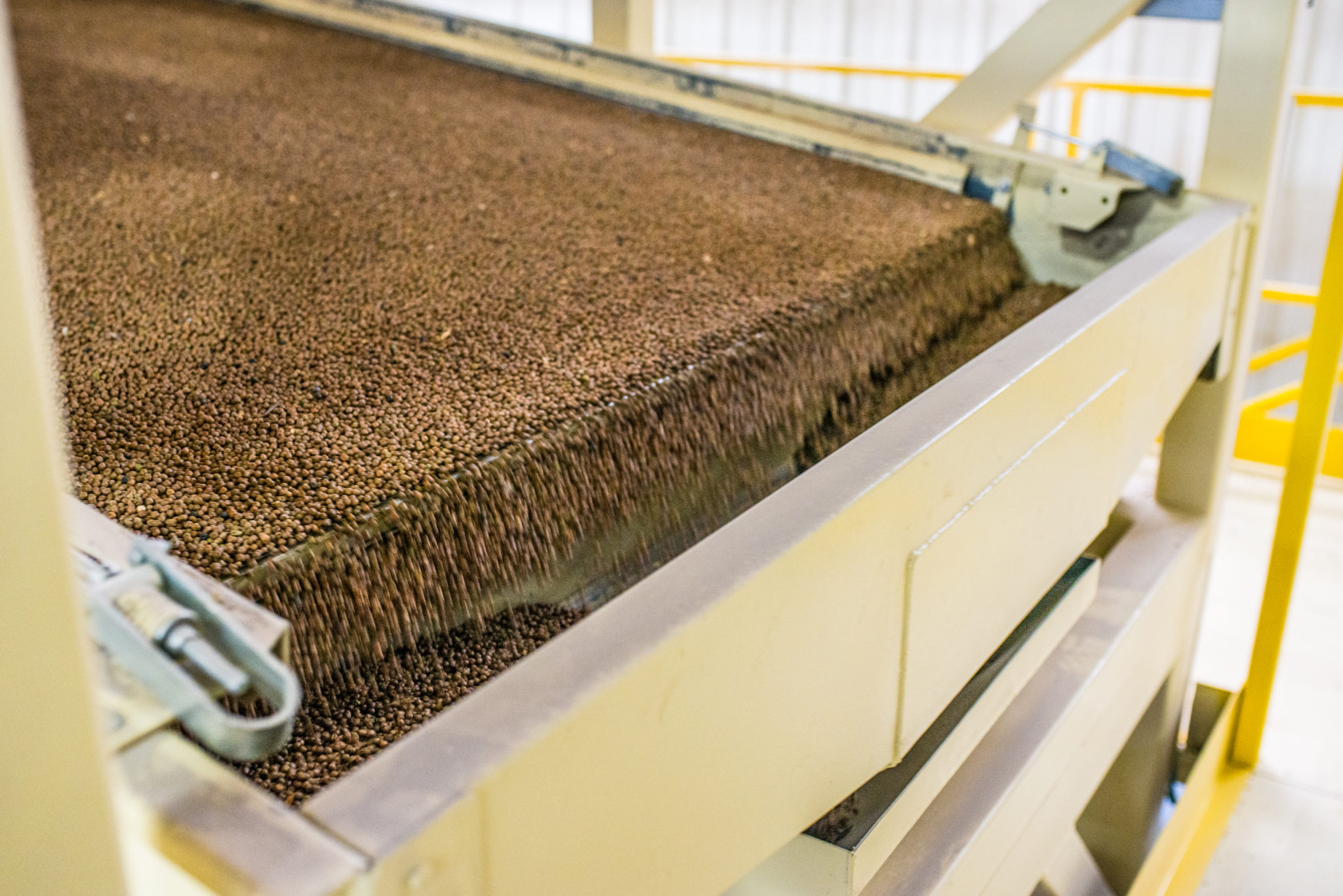 Seed Cleaning – Strathmore Seed Cleaning Plant