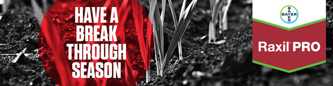 Bayer – Strathmore Seed Cleaning Plant